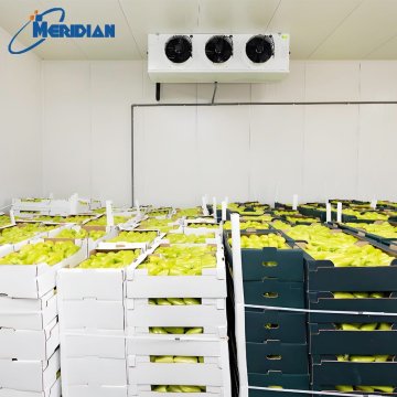 Vegetable & Fruit Cold Room | Fresh Produce Preservation
