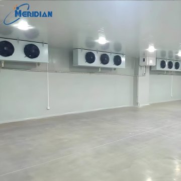 Meat Cold Storage Room | Freezer Storage for Meat Products